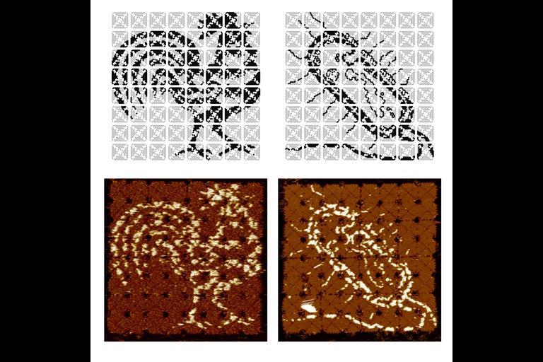 DNA origami makes it big | Research | Chemistry World